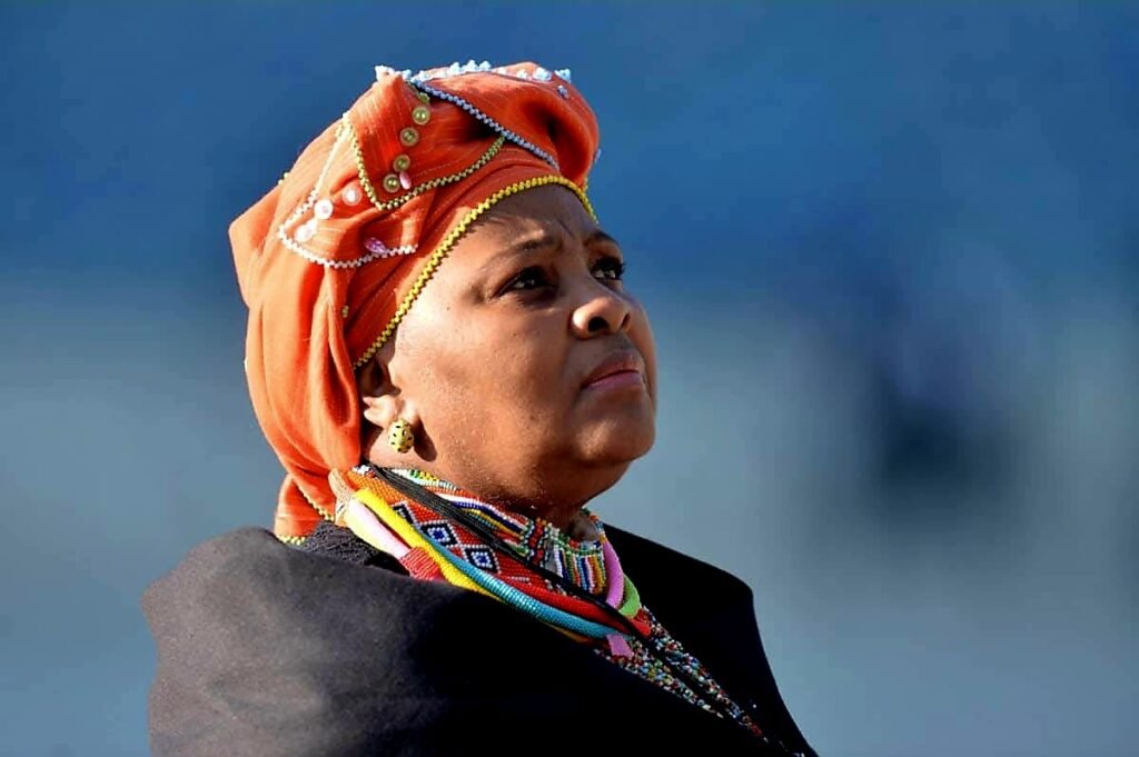 SA Parliament Speaker Mapisa-Nqakula loses court bid to stop her arrest ...