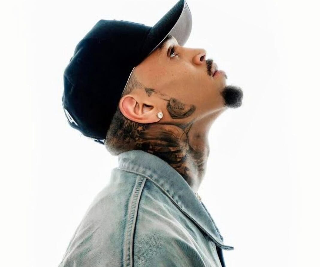 Chris Brown adds 2nd date to Breezy in South Africa concert due to high ...